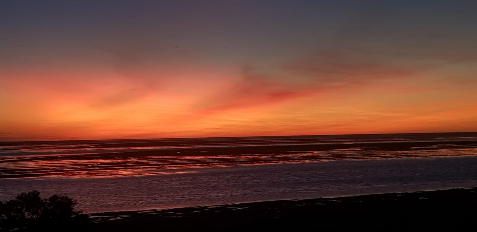 Chasing Barra II – Travels With Mr Gato Downunder